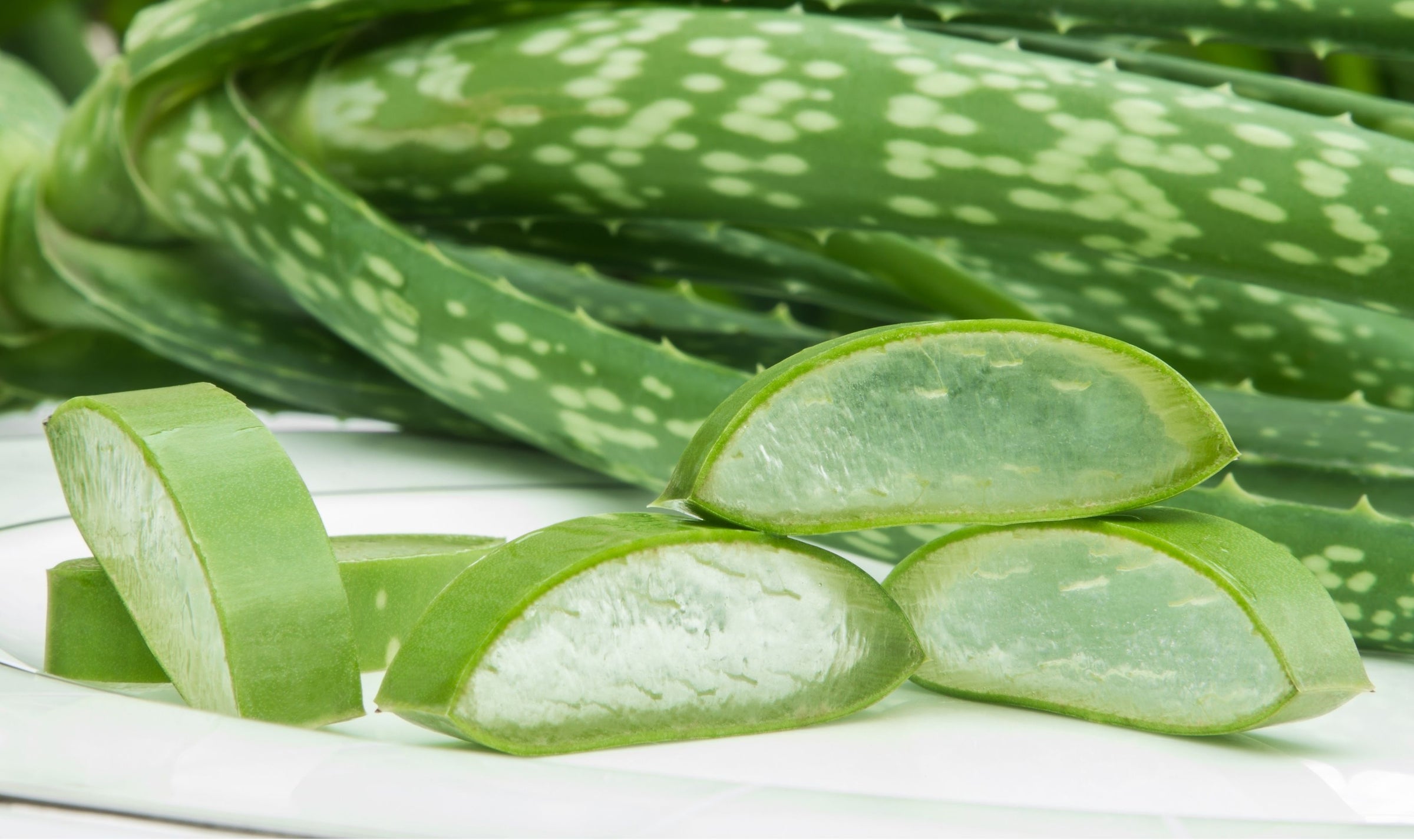 LOMA Hair & Body Care | Aloe Vera Based Hair and Body Care – LOMA RETAIL