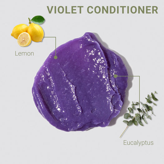 Violet Conditioner – Loma Hair & Body Care | Aloe Based Salon Quality Care