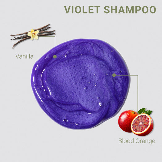 Violet Shampoo – Loma Hair & Body Care | Aloe Based Salon Quality Care