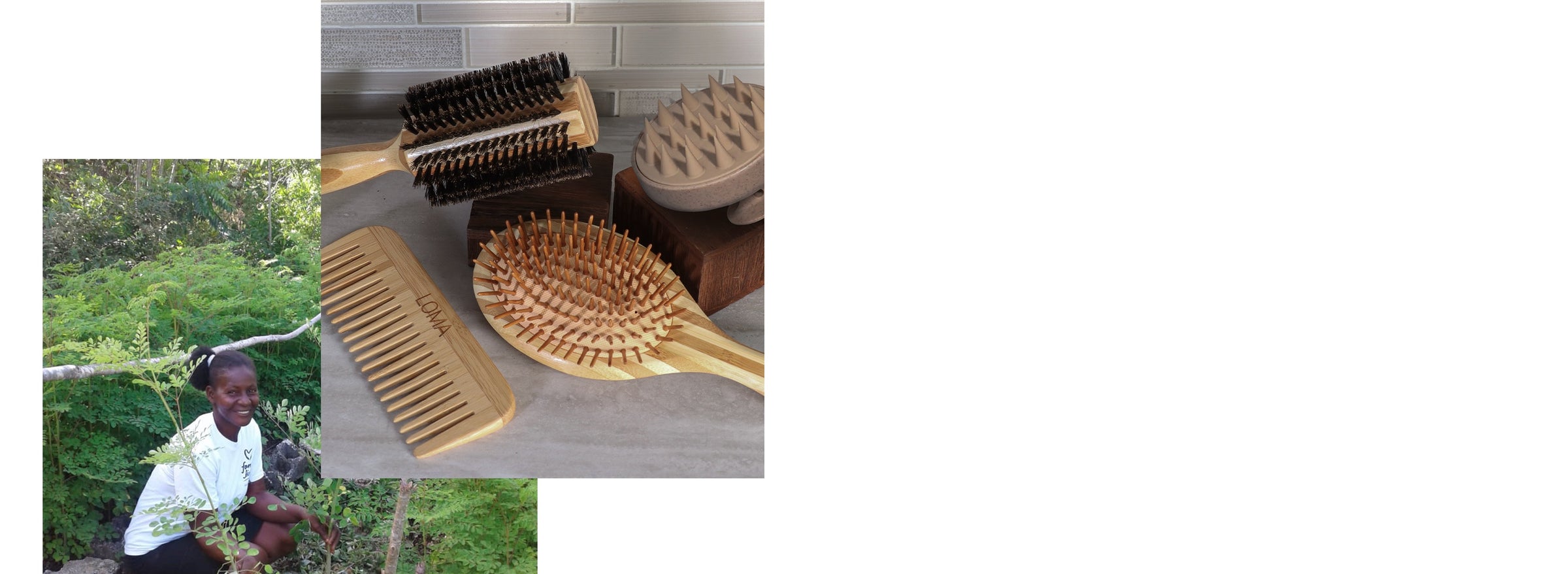 Loma Hair & Body Care | Aloe Based Salon Quality Care